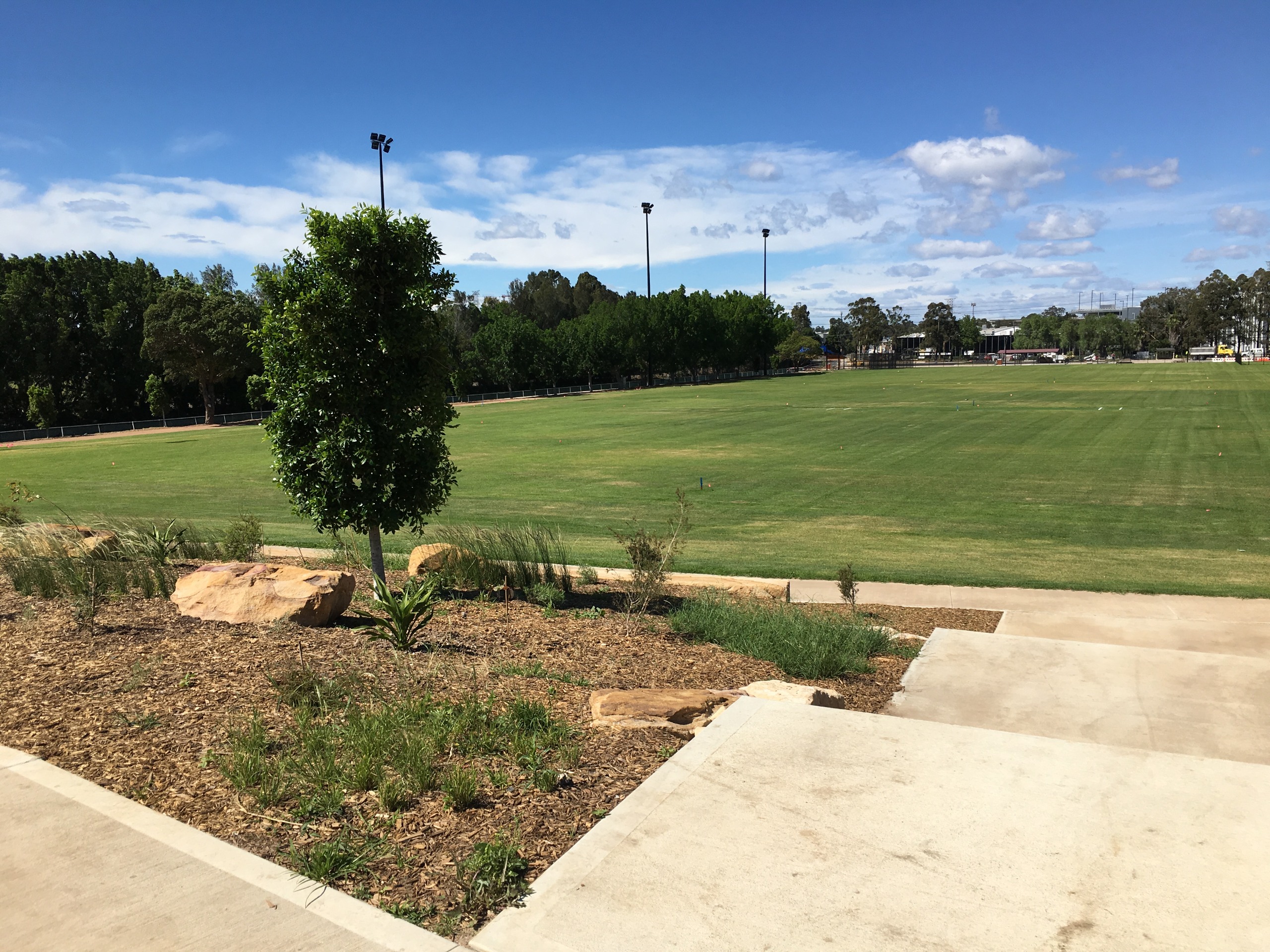 Bressington Park Draft Plan of Management | Have Your Say Strathfield